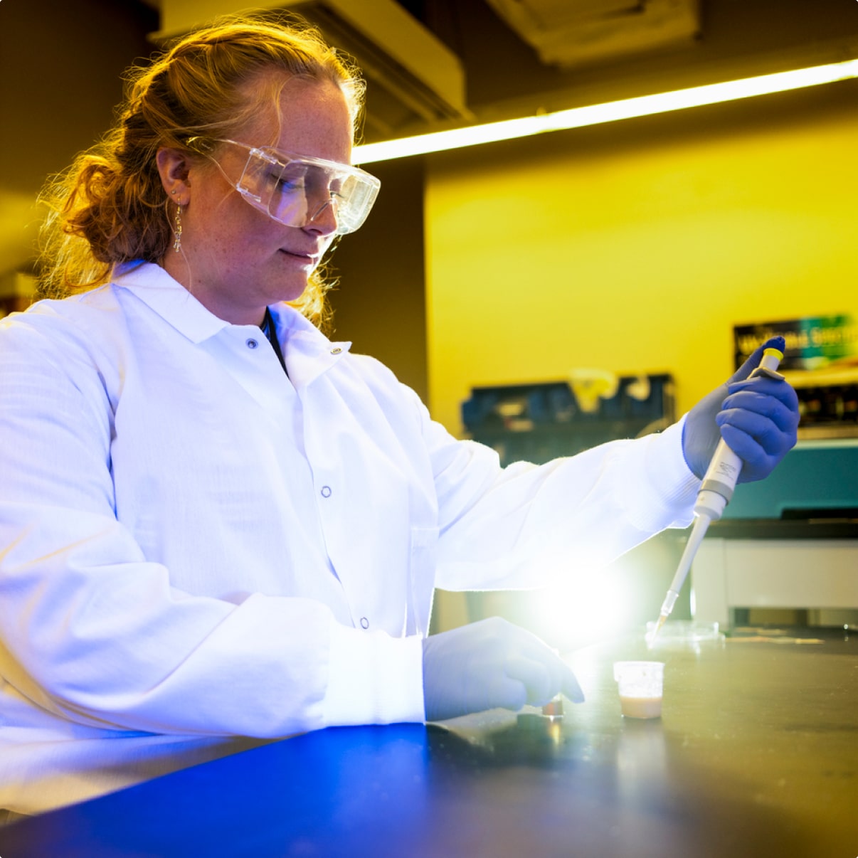 Northeastern Provost – Office of the Provost